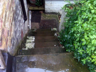 Stair Climber | Ask An Occupational Therapist